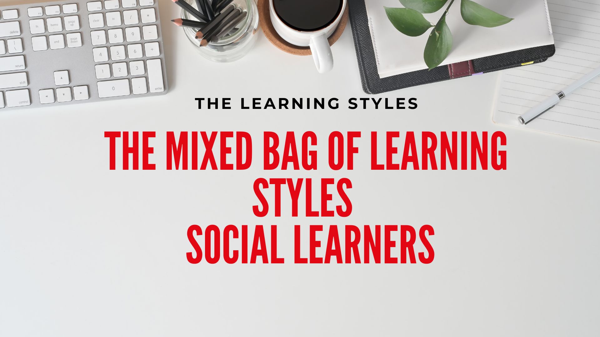 The Mixed Bag Of Learning Styles - Teaching Social Learners - Enever Group