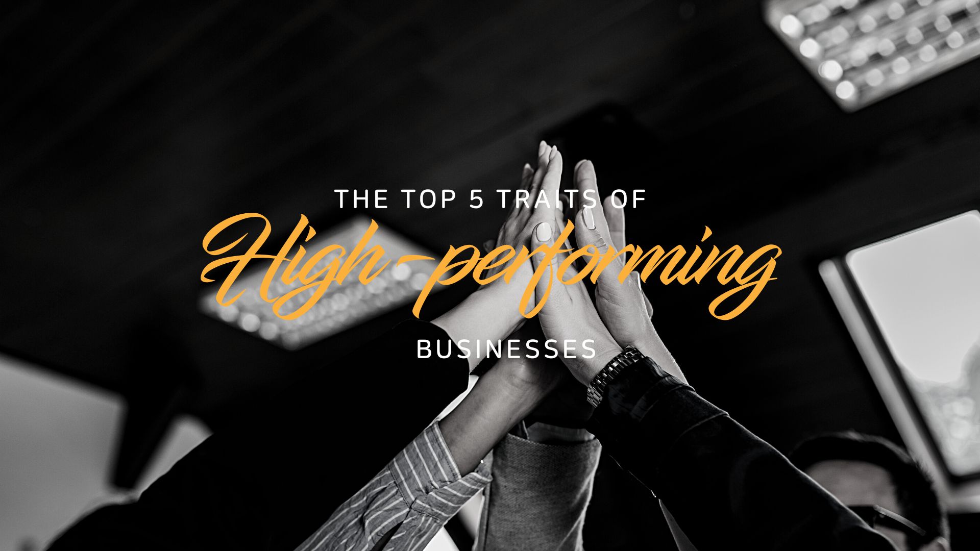 The Top 5 Traits Of High-performing Businesses - Enever Group